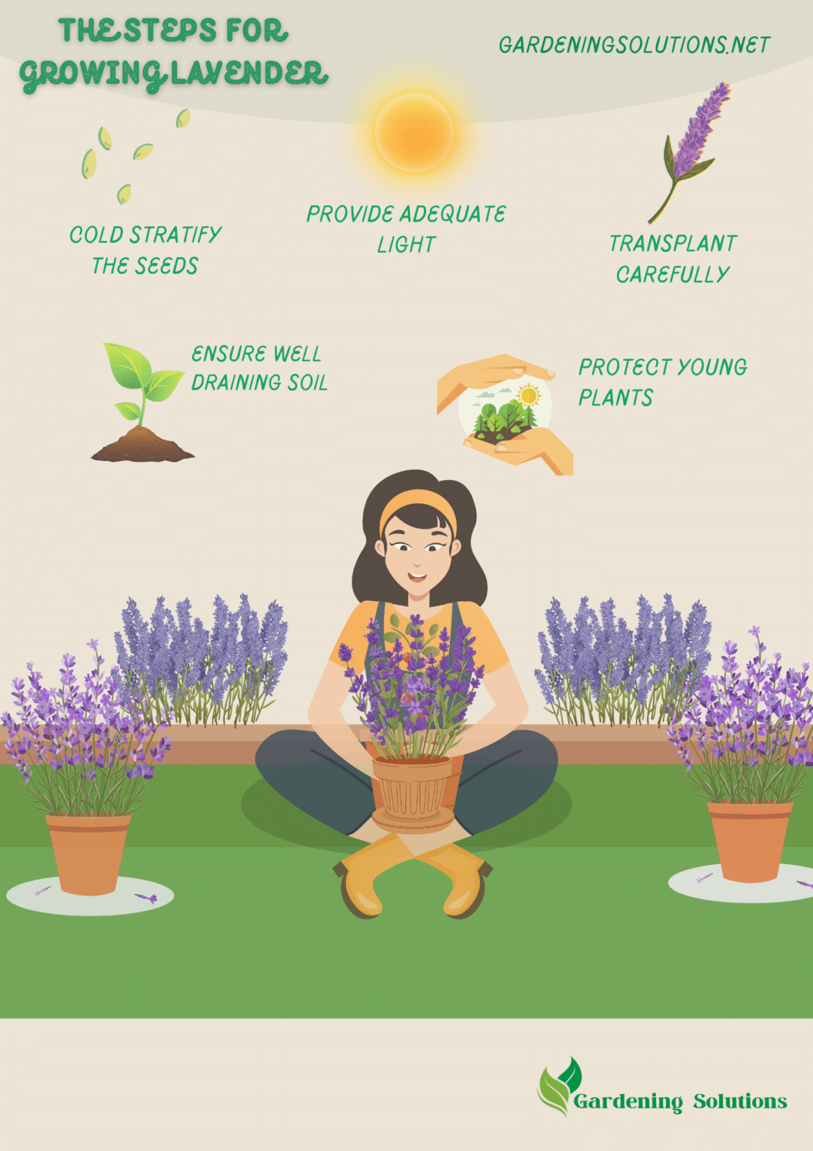 How to Plant Lavender from Seeds - Gardening 101